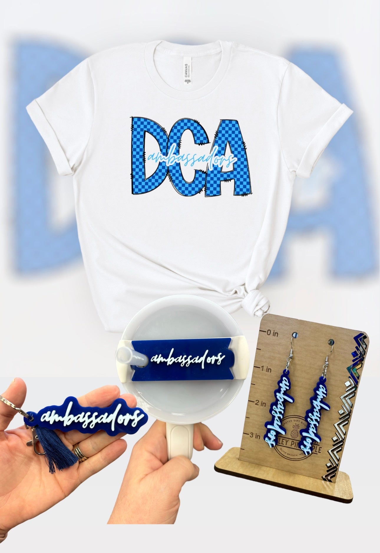 Desoto Christian Academy Ambassadors – Paisley Pineapple